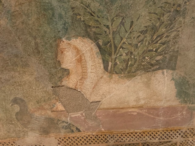 IMG_1023 – Rhakotis