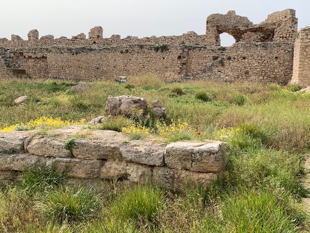 Ancient Argos: The most important city you never knew about – Rhakotis